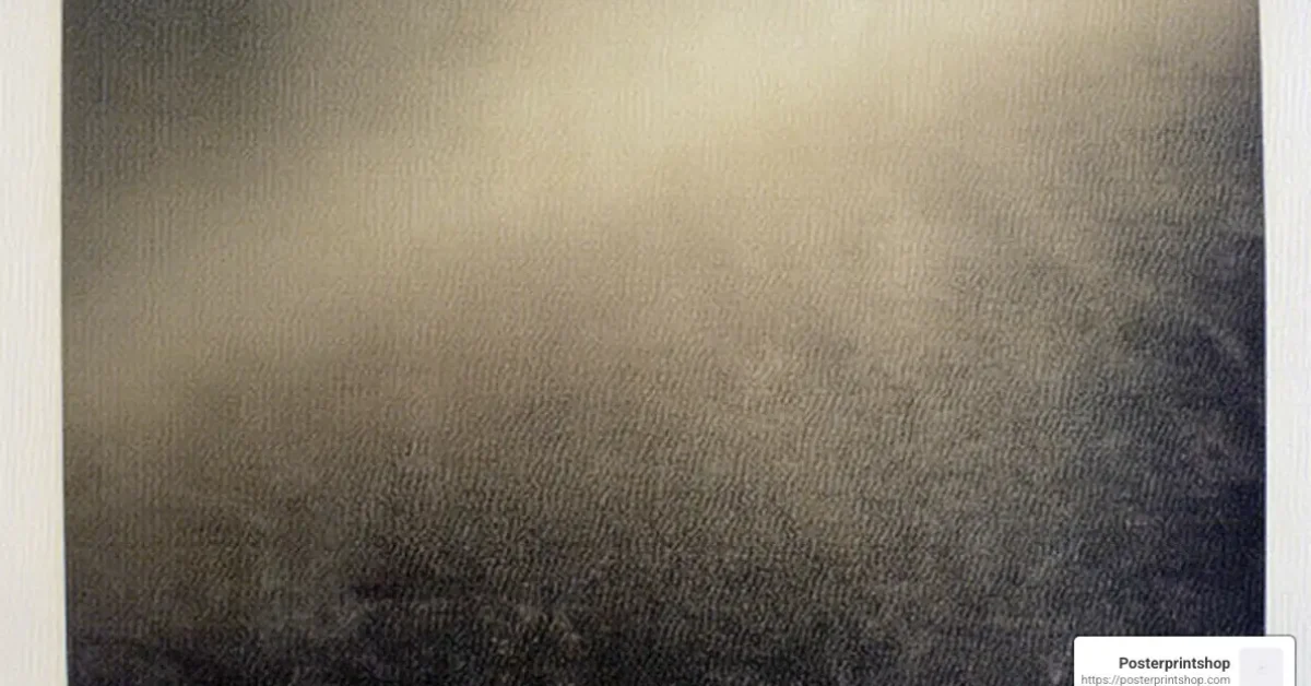 See-Through Success: Mastering Photo Printing on Transparent Sheets ...