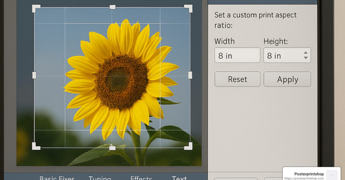 Picasa 3 Magic: How to Print Custom Photo Sizes - Poster Print Shop